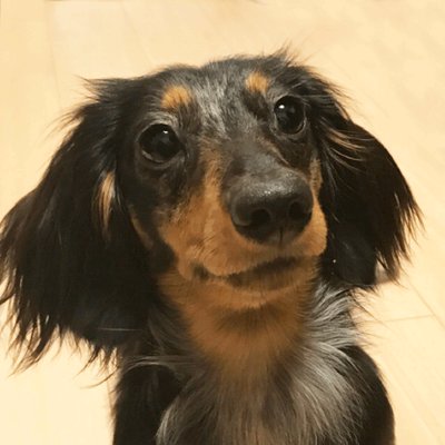 Hack Fes. 2023 - 一般社団法人日本ハッカー協会